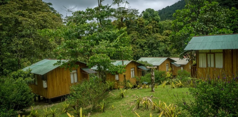 The New Manu Explorer 6D Authentic